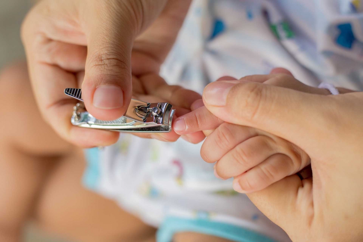 The Tactile System - Overture Neurodevelopmental Support Services